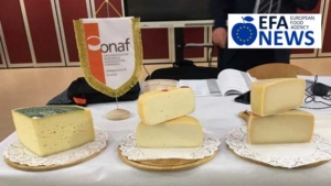 CSQA - Brazzale: Thiene recognized as the "Onaf Cheese City"